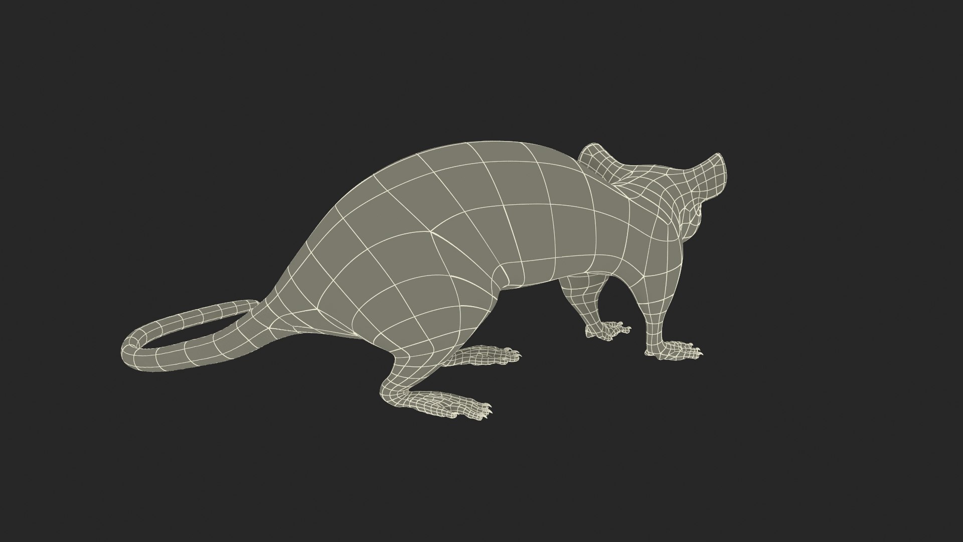 3D Model Lifelike Rodent Rat - TurboSquid 2304659
