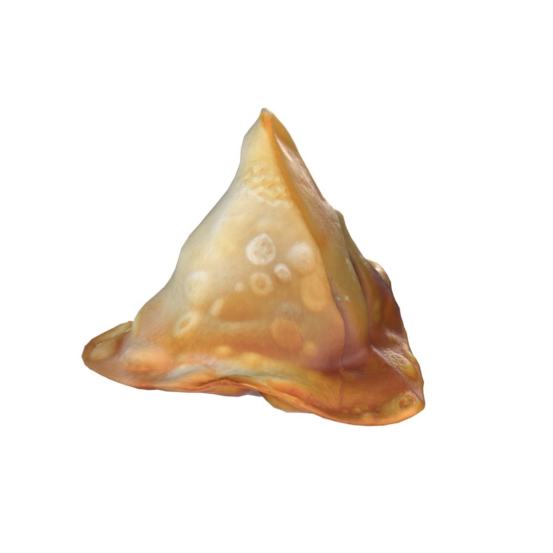 Samosa 3D Model - TurboSquid 2369608