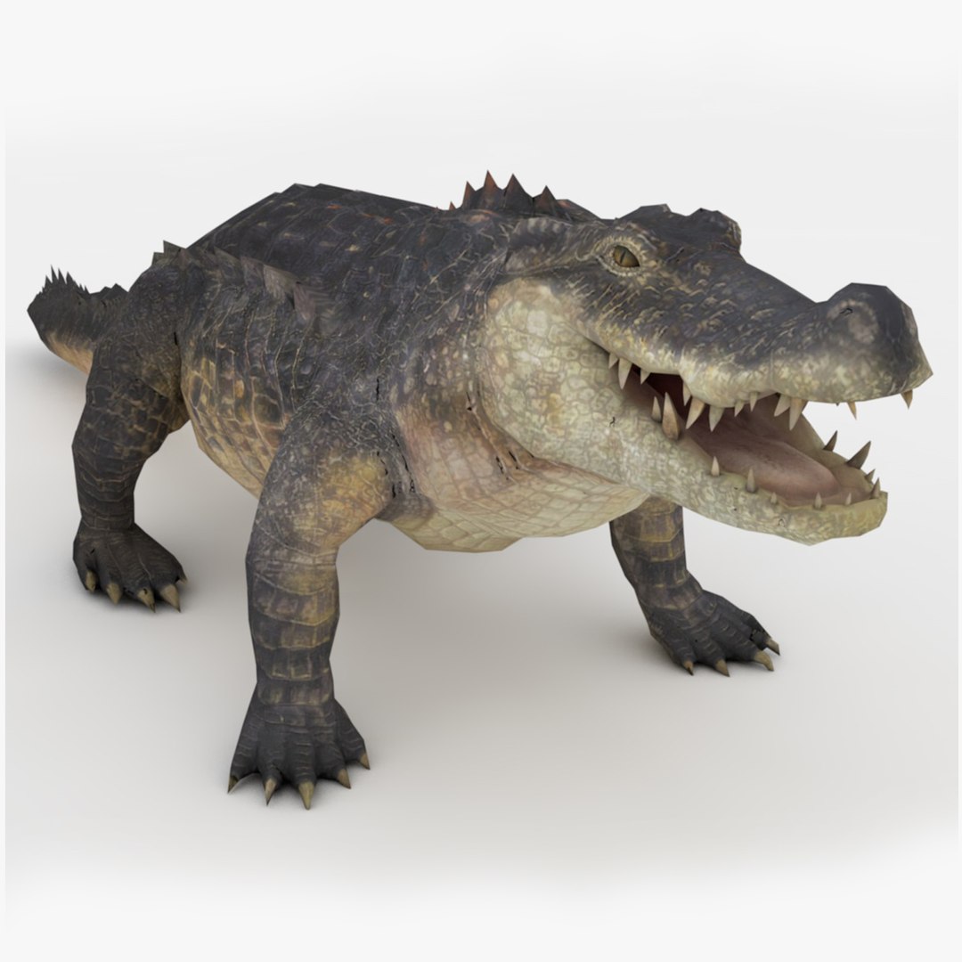 modelo 3d Cocodrilo manipulado y animado - TurboSquid 2348420