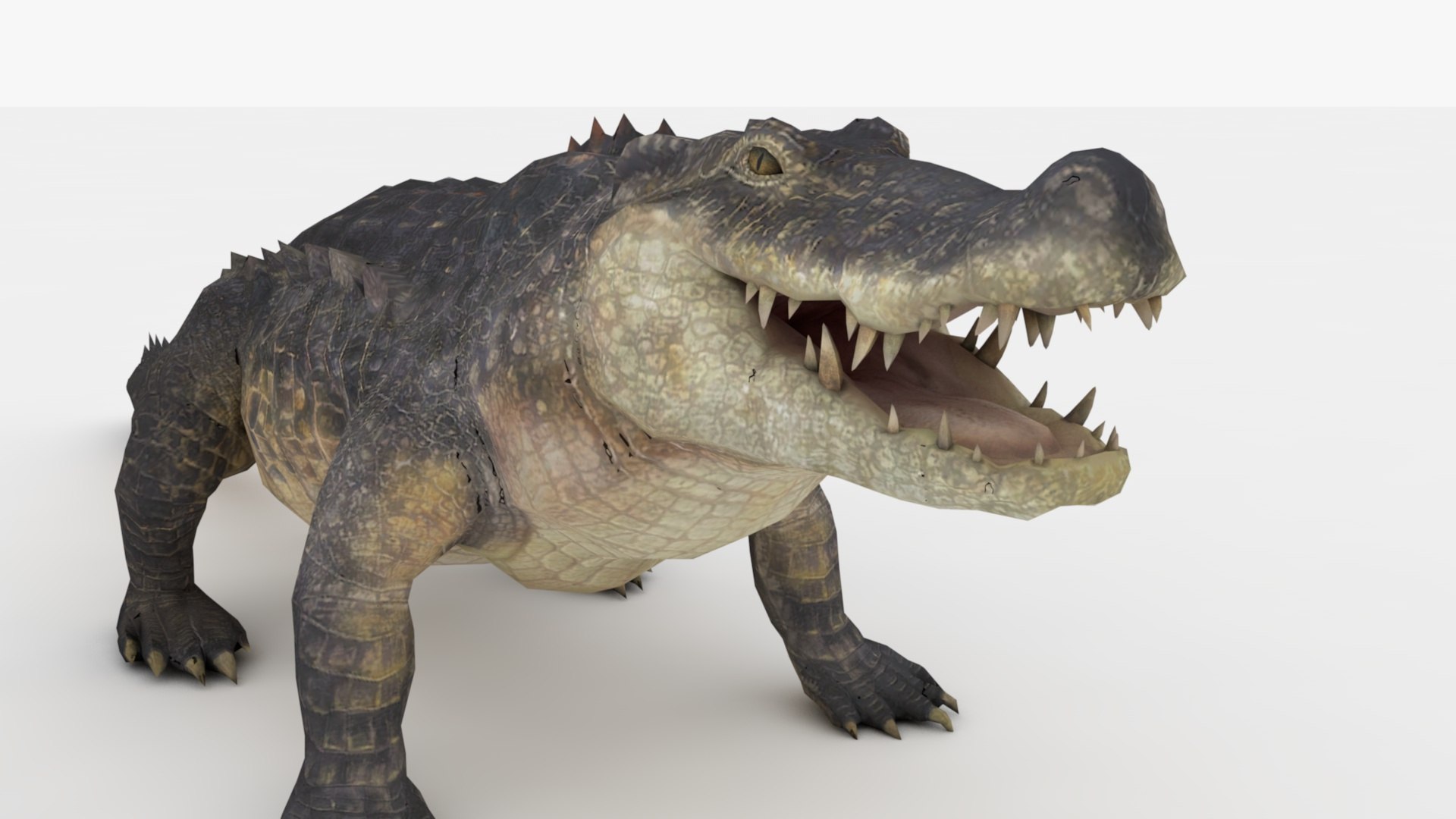 3D Model Crocodile Rigged And Animated - TurboSquid 2348420