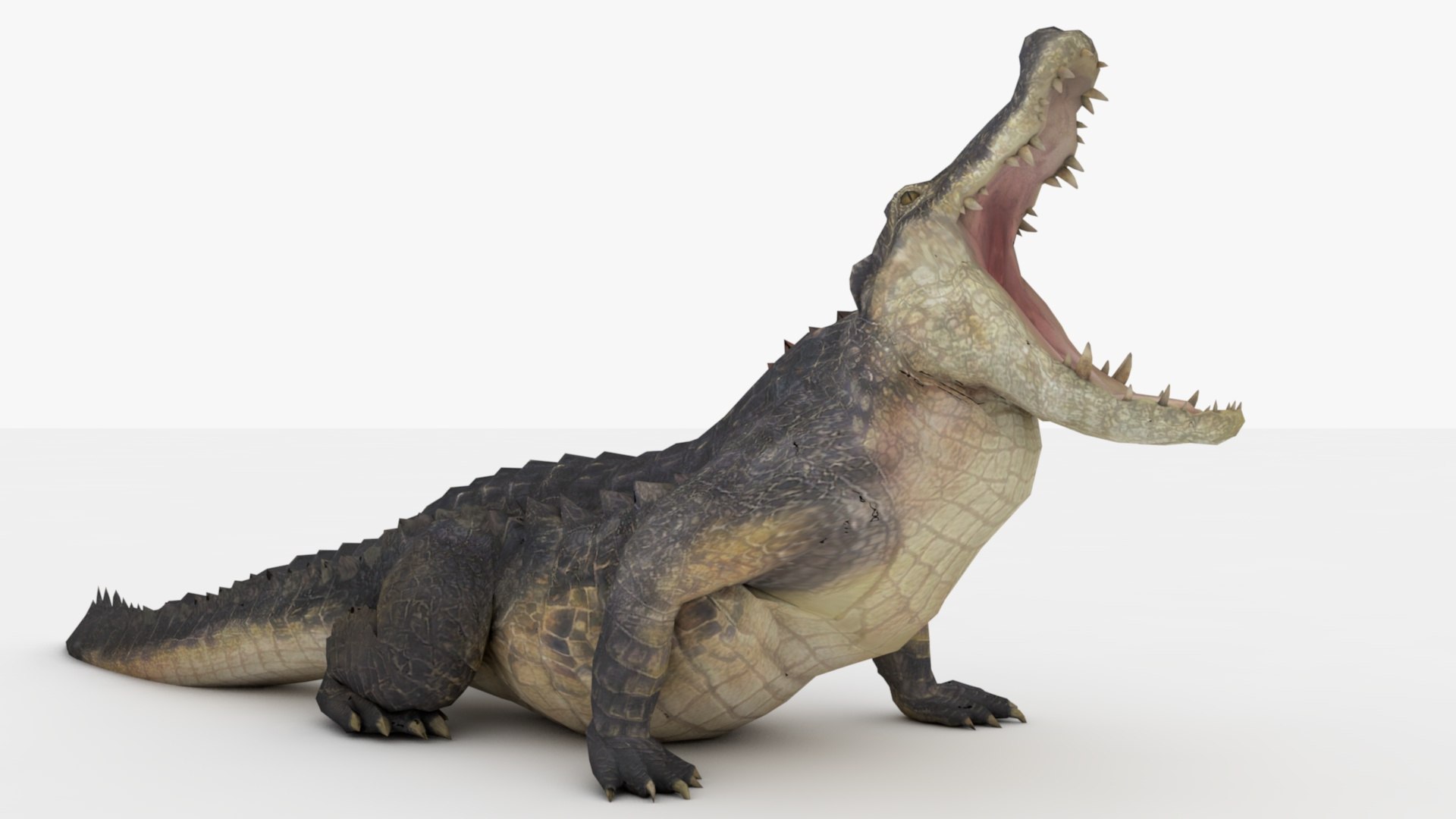 3D Model Crocodile Rigged And Animated - TurboSquid 2348420
