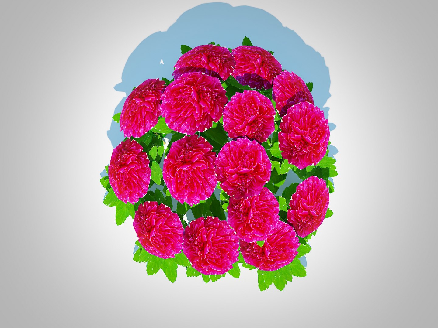 Paeonia X Lact Felix Crousse 3D - TurboSquid 2316758