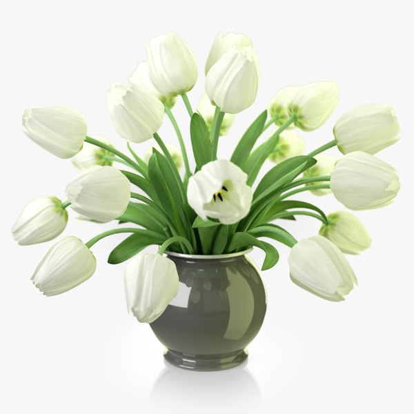 Tulip 3D Models for Download | TurboSquid