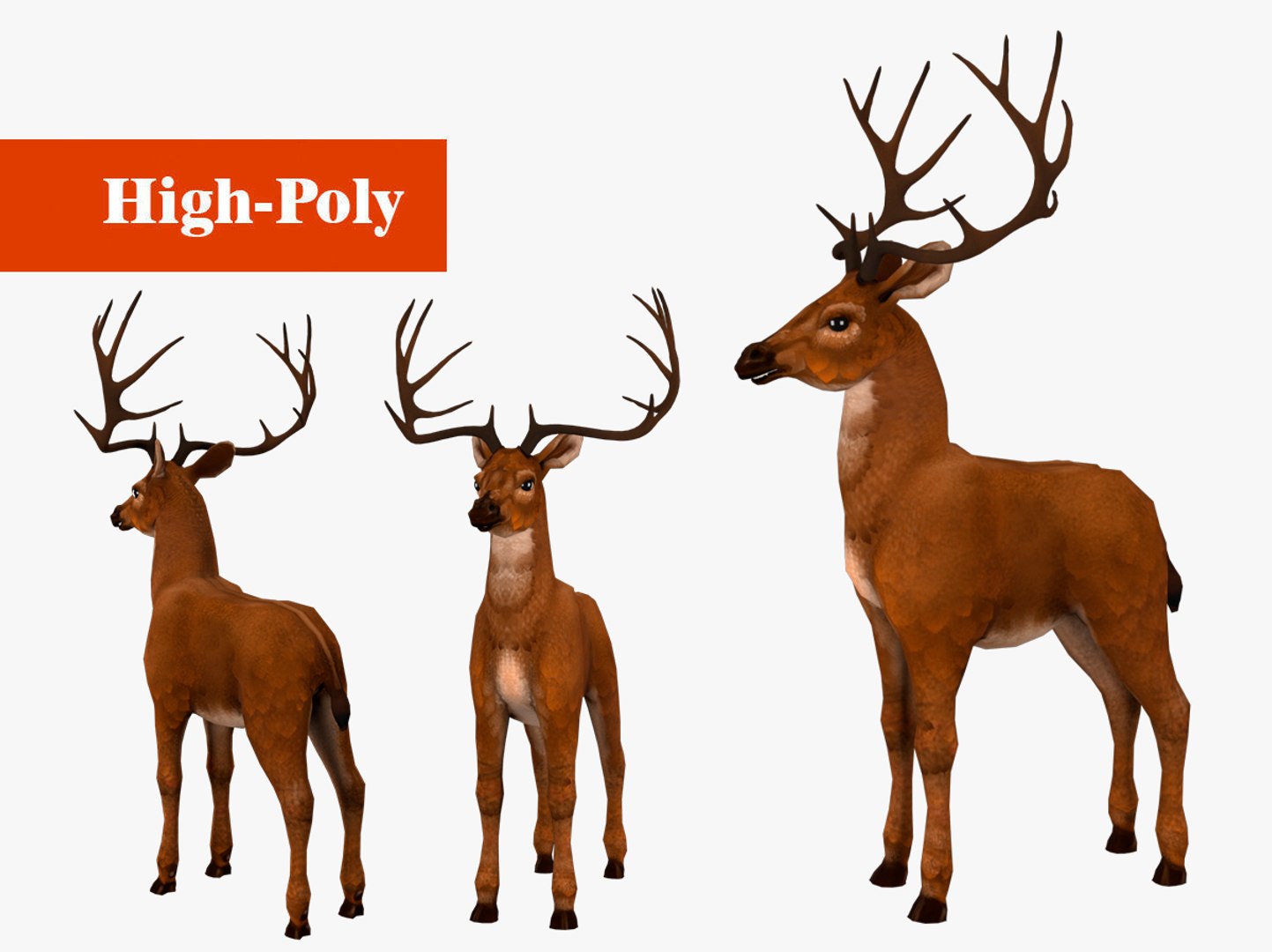 3D Model Deer Rig High-poly Textured - TurboSquid 2345361