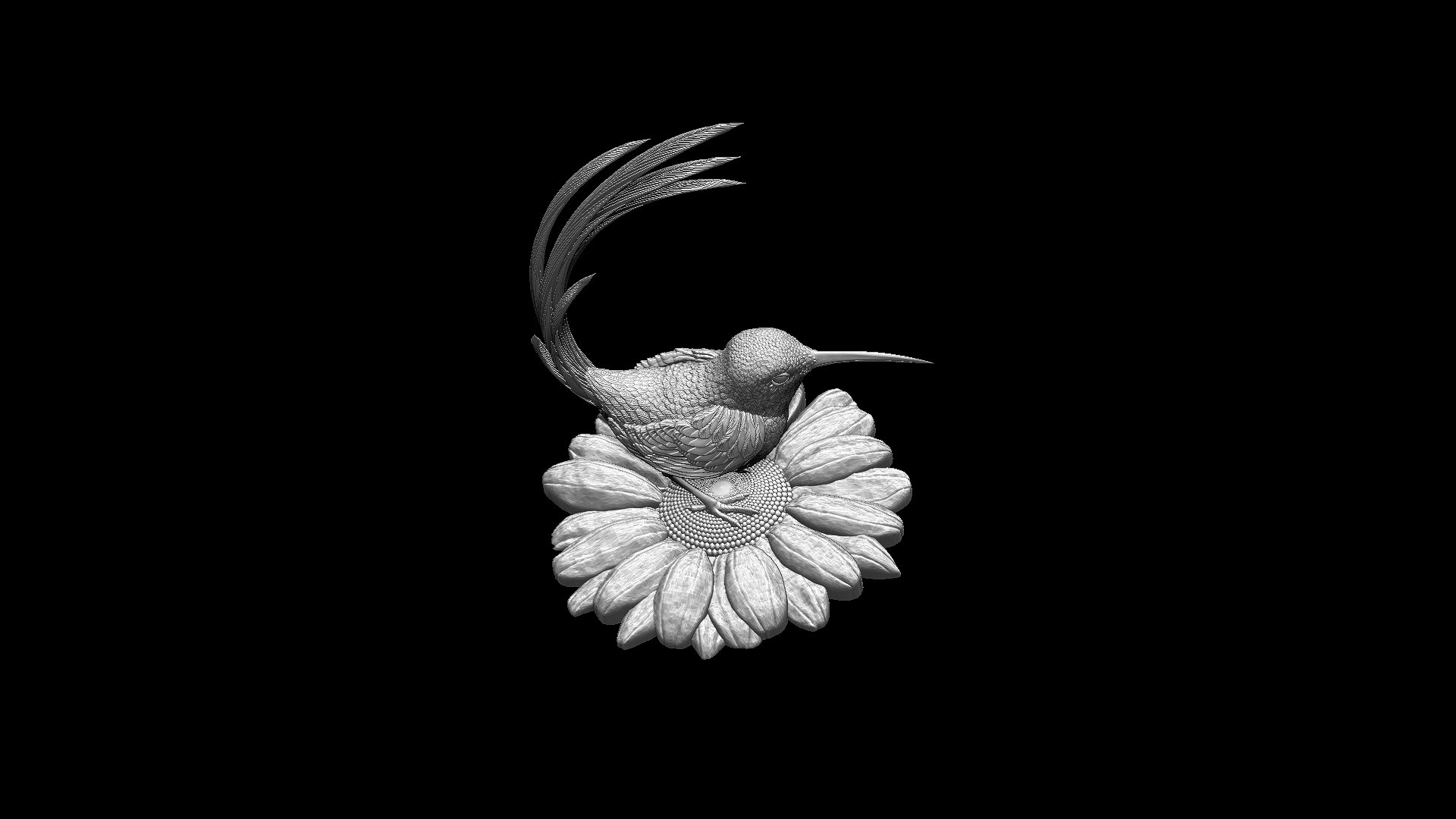3D Hummingbird - TurboSquid 2408120
