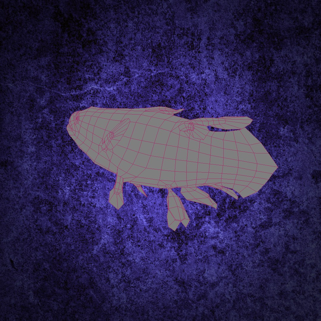 Coelacanth fish 3D model | 1142323 | TurboSquid
