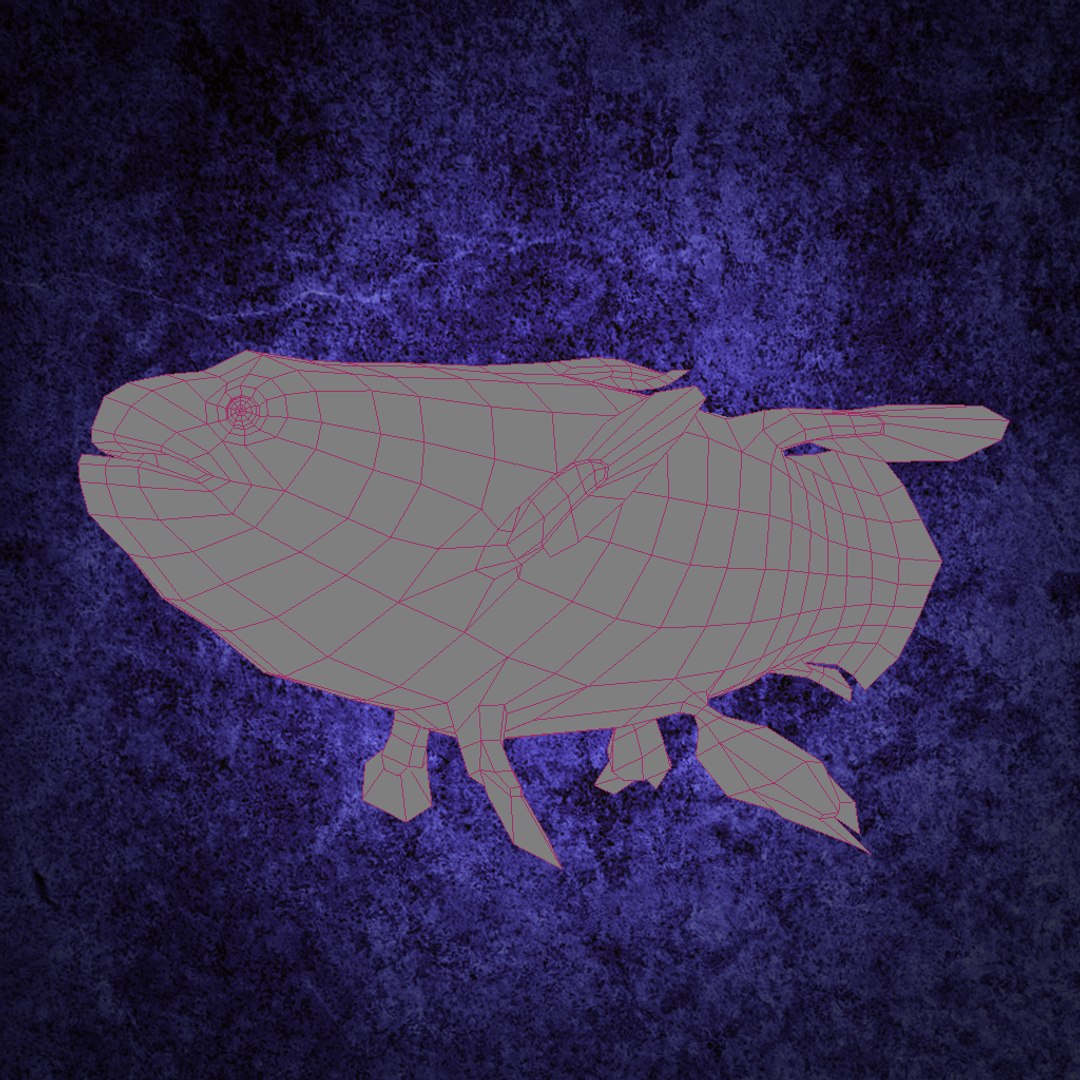 Coelacanth fish 3D model | 1142323 | TurboSquid