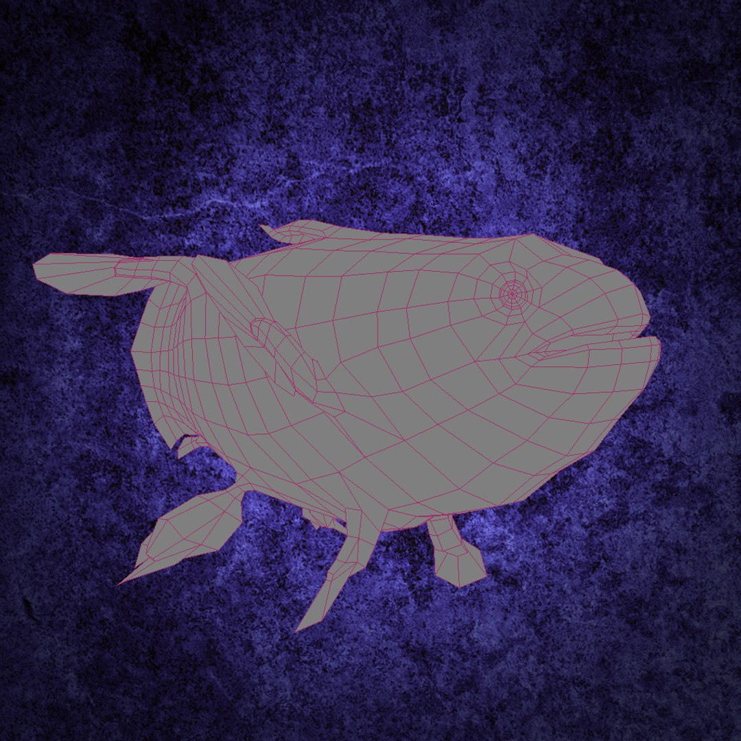 Coelacanth fish 3D model | 1142323 | TurboSquid