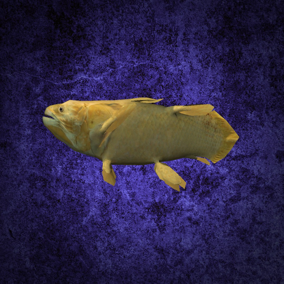 Coelacanth fish 3D model | 1142323 | TurboSquid