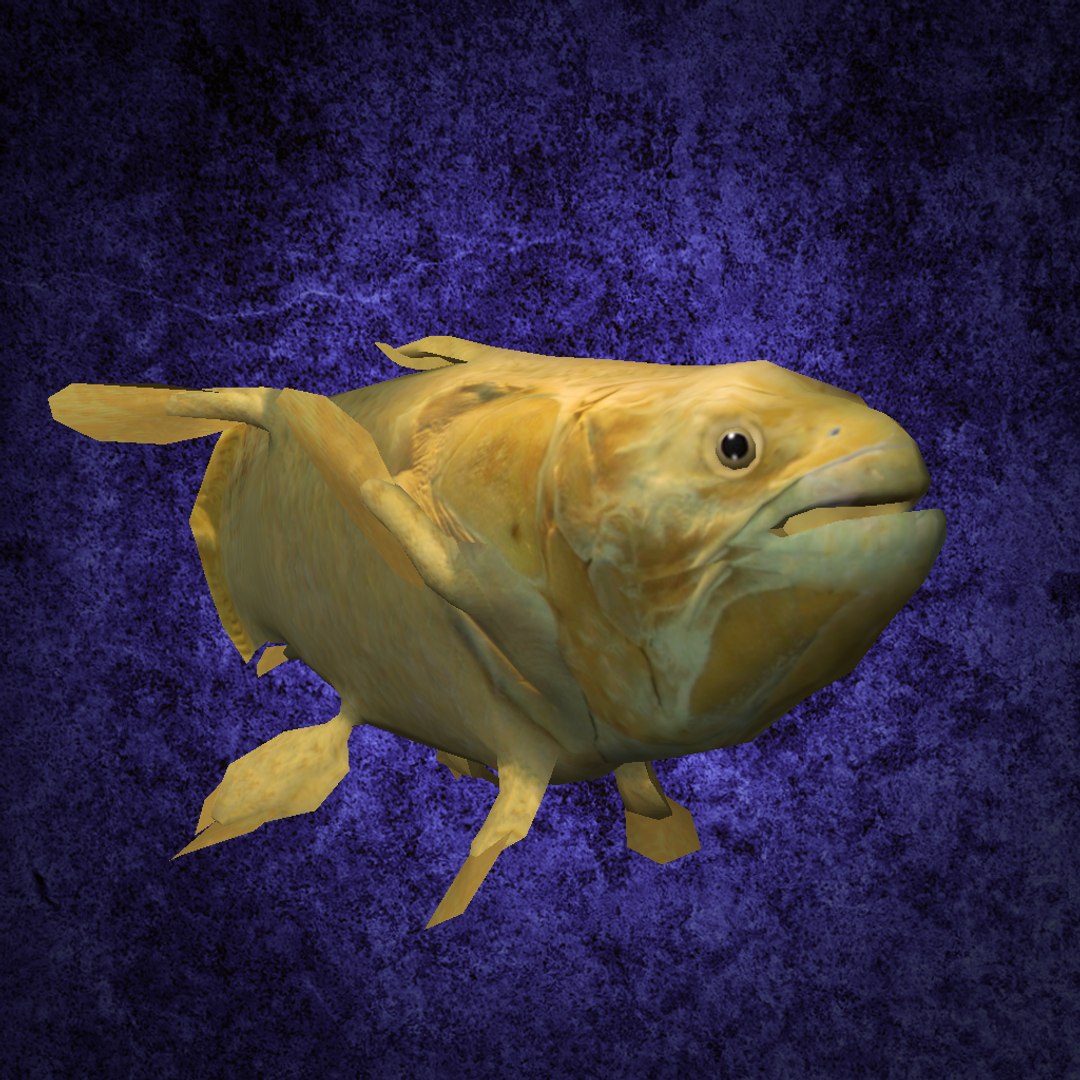 Coelacanth fish 3D model | 1142323 | TurboSquid