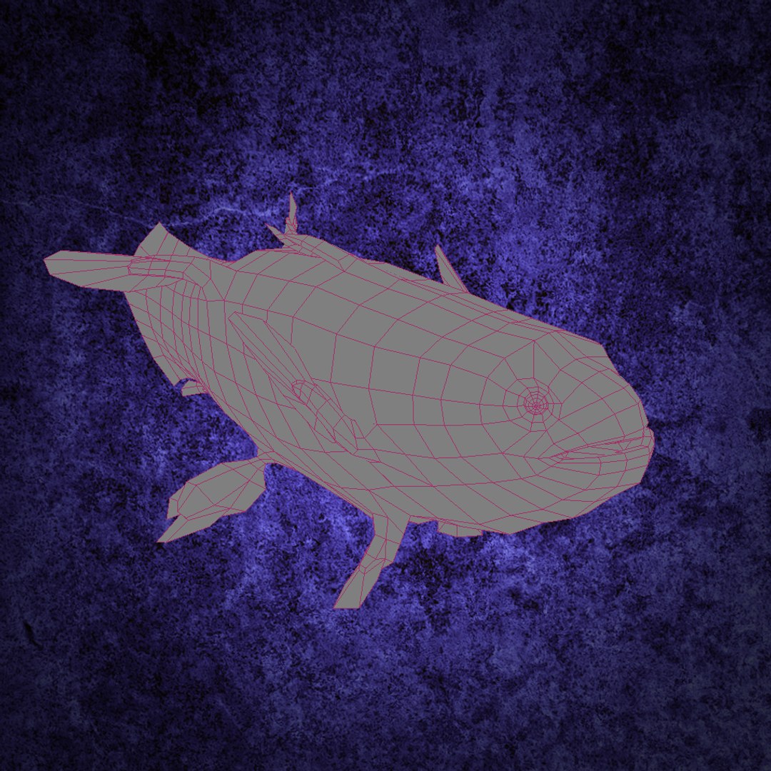 Coelacanth fish 3D model | 1142323 | TurboSquid
