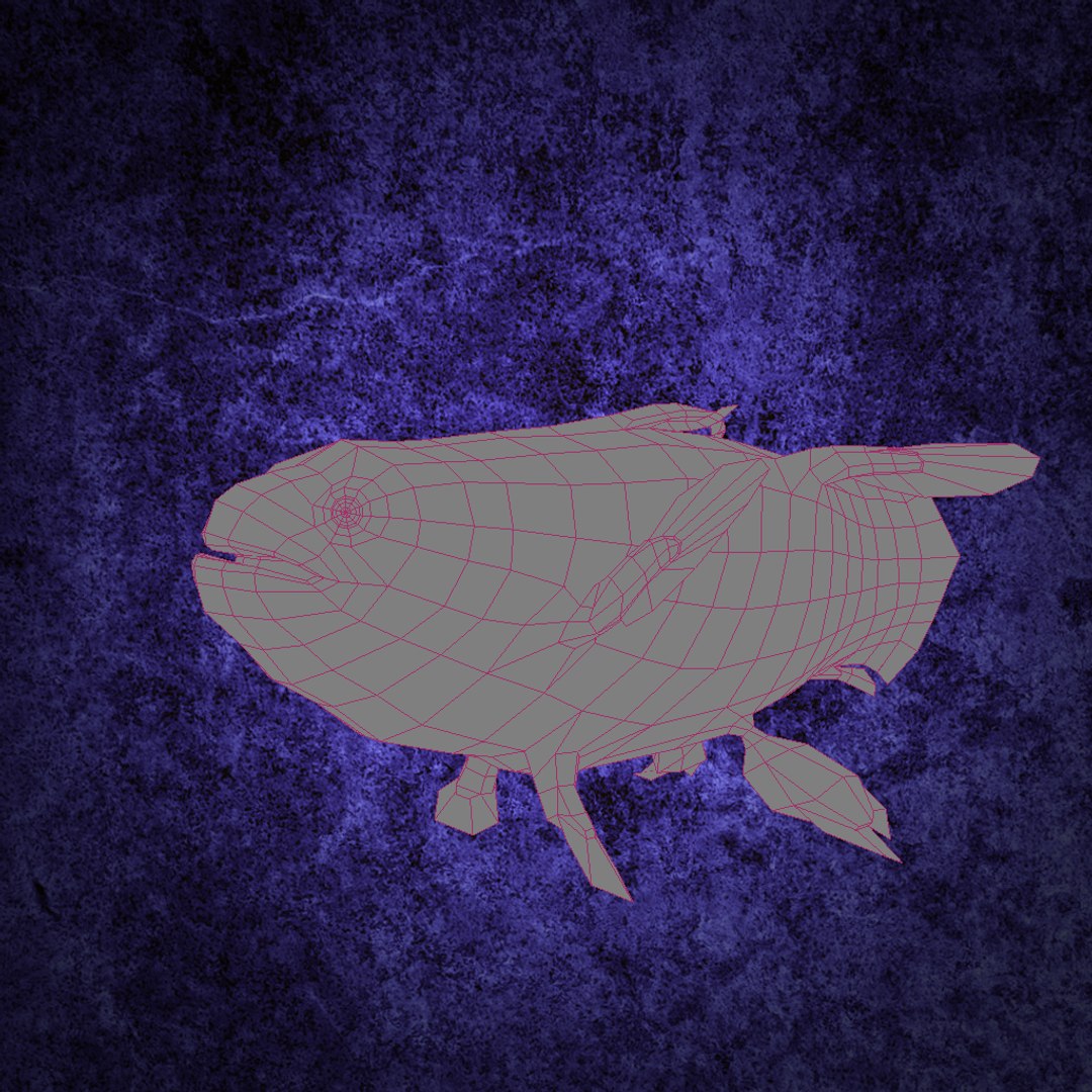 Coelacanth fish 3D model | 1142323 | TurboSquid