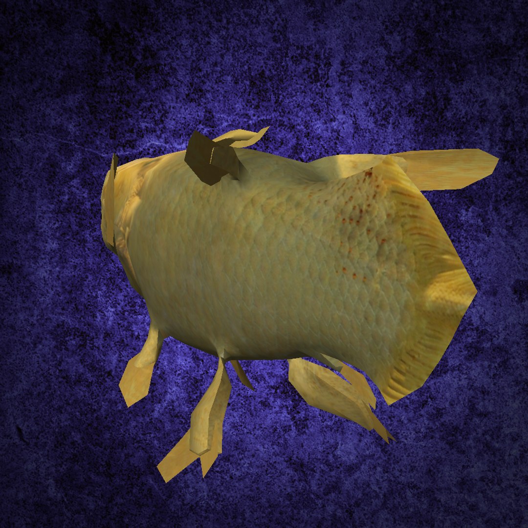 Coelacanth fish 3D model | 1142323 | TurboSquid