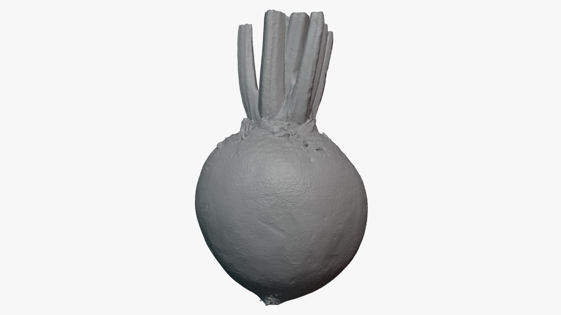3D Whole Beetroot - For 3D Print Model - TurboSquid 2494882