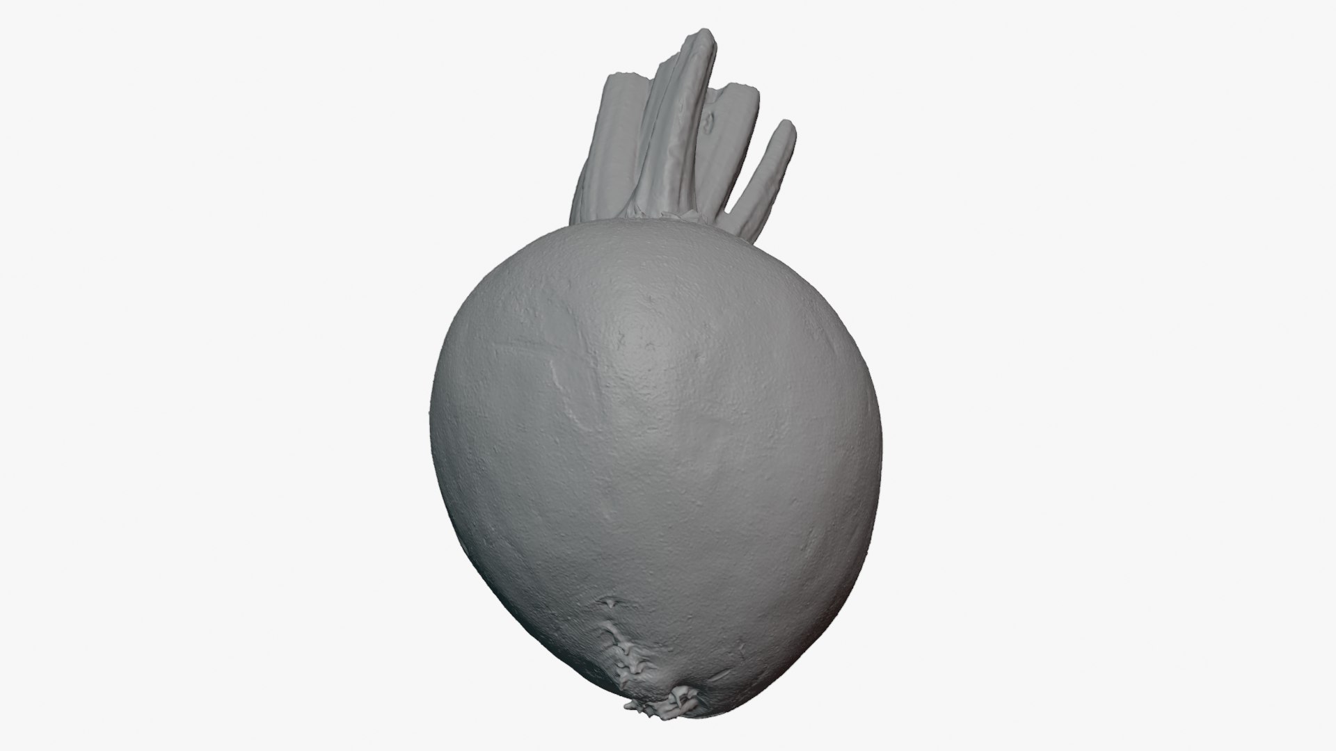3D Whole Beetroot - For 3D Print Model - TurboSquid 2494882