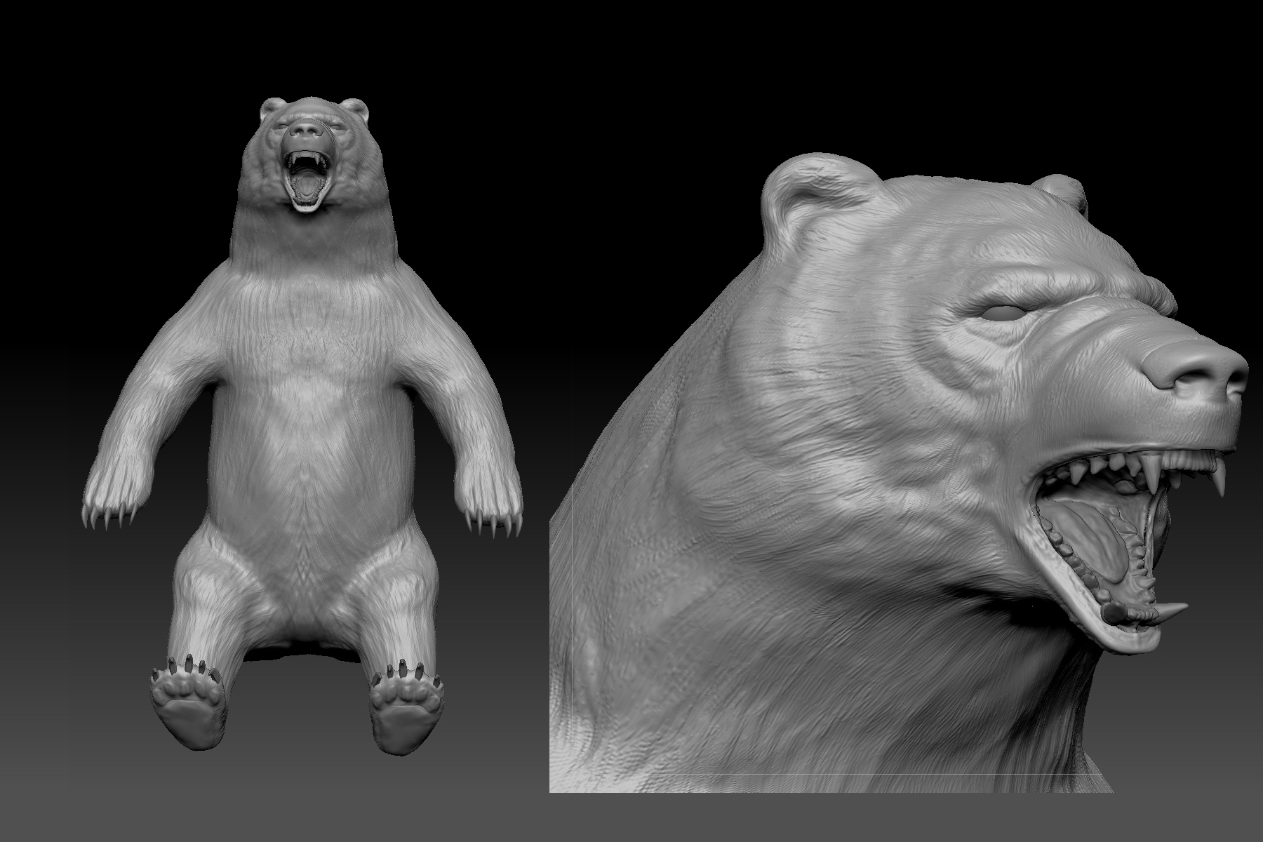 rigged bear fur 01 max