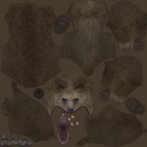 rigged bear fur 01 max
