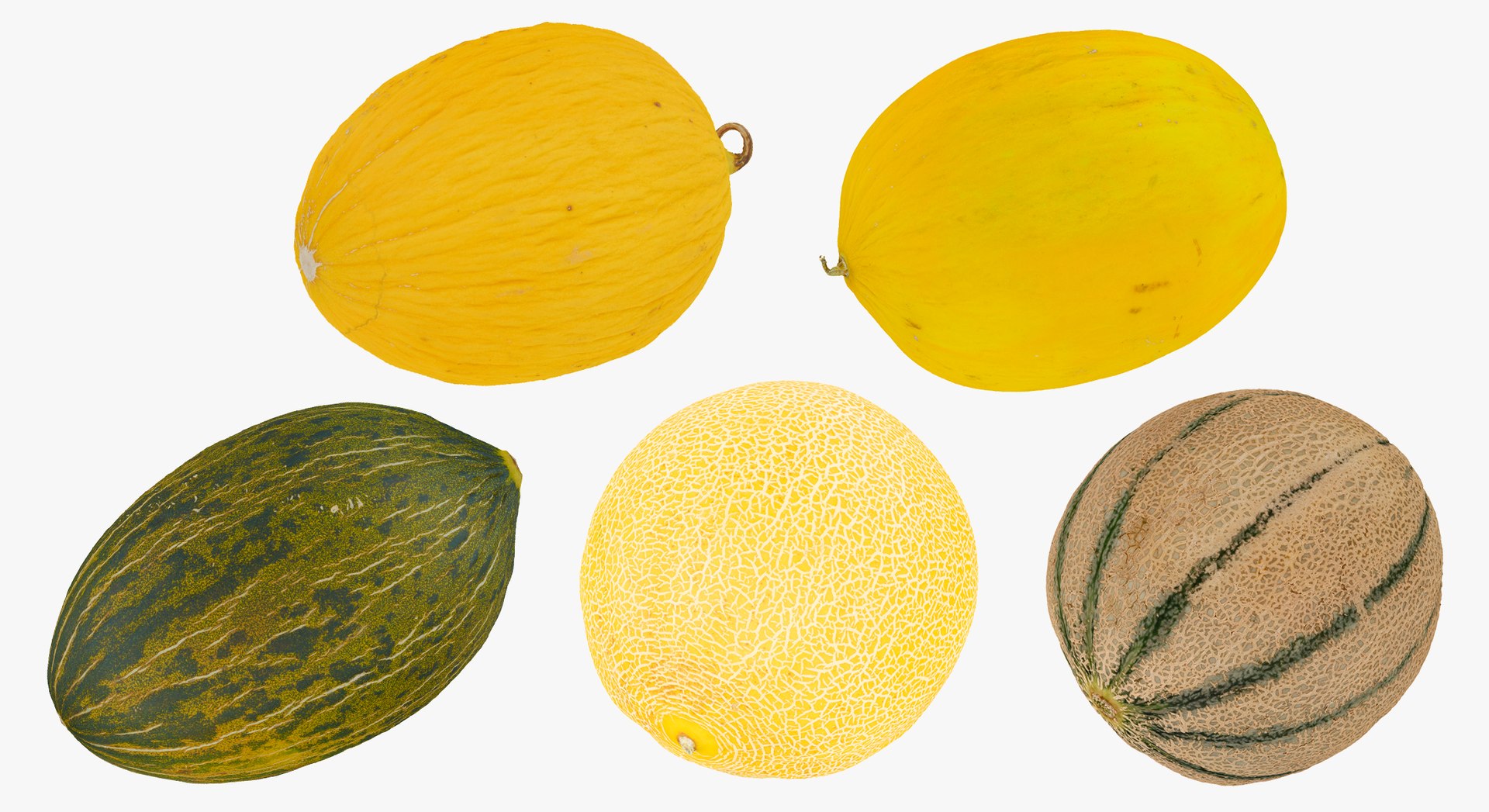 Melons Collection 01 - 5 models RAW Scans 3D - TurboSquid 1830436