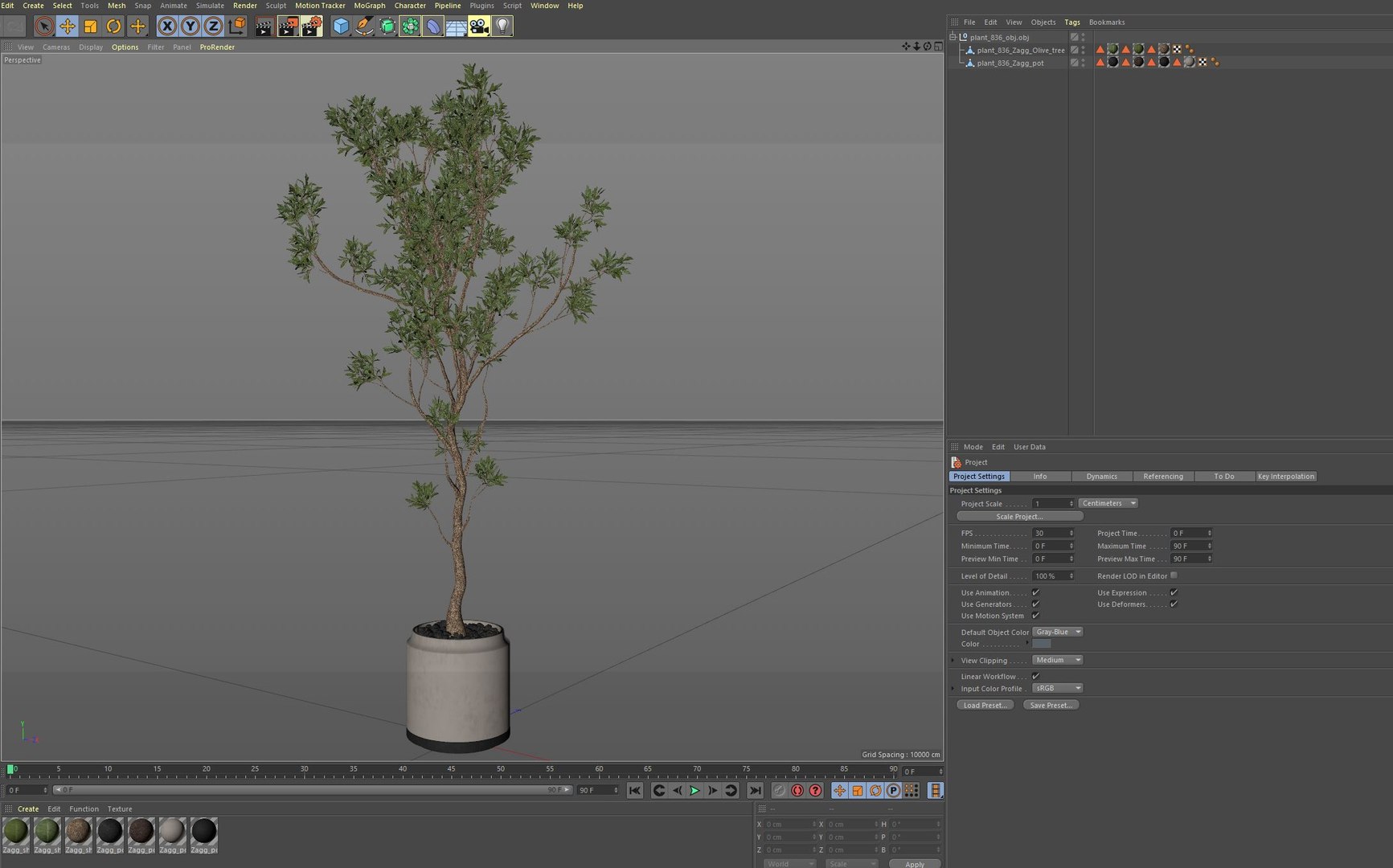 3D Plants Collection 836 - TurboSquid 1970686
