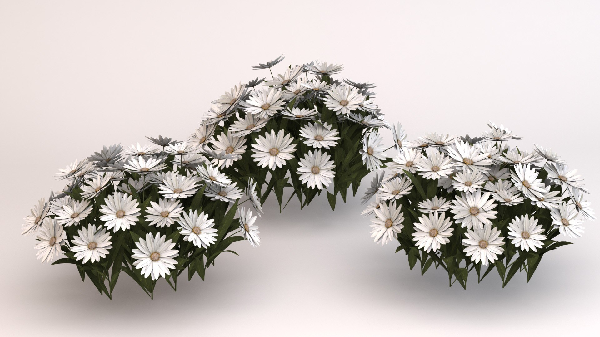 3D daisy flowers model - TurboSquid 1466378