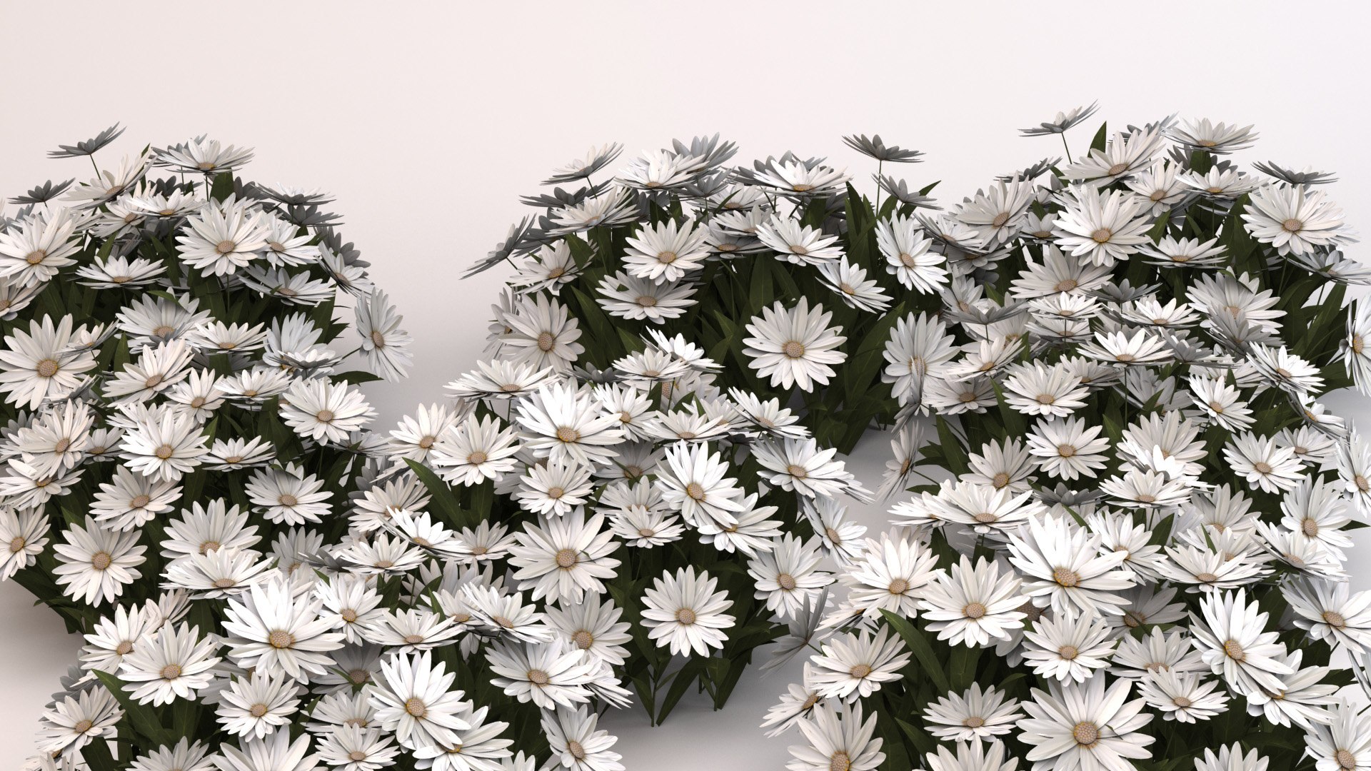 3D daisy flowers model - TurboSquid 1466378