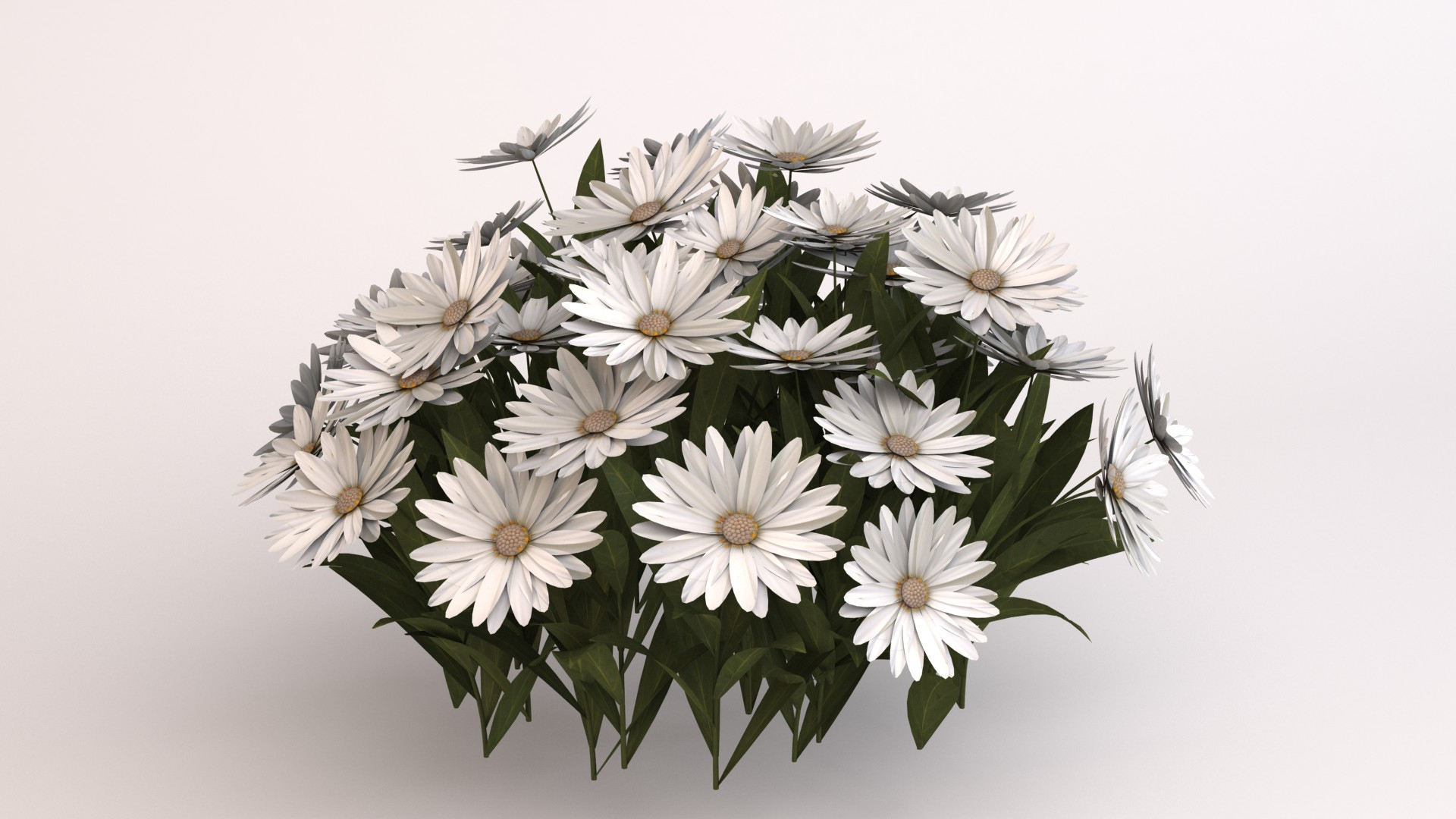 3D daisy flowers model - TurboSquid 1466378