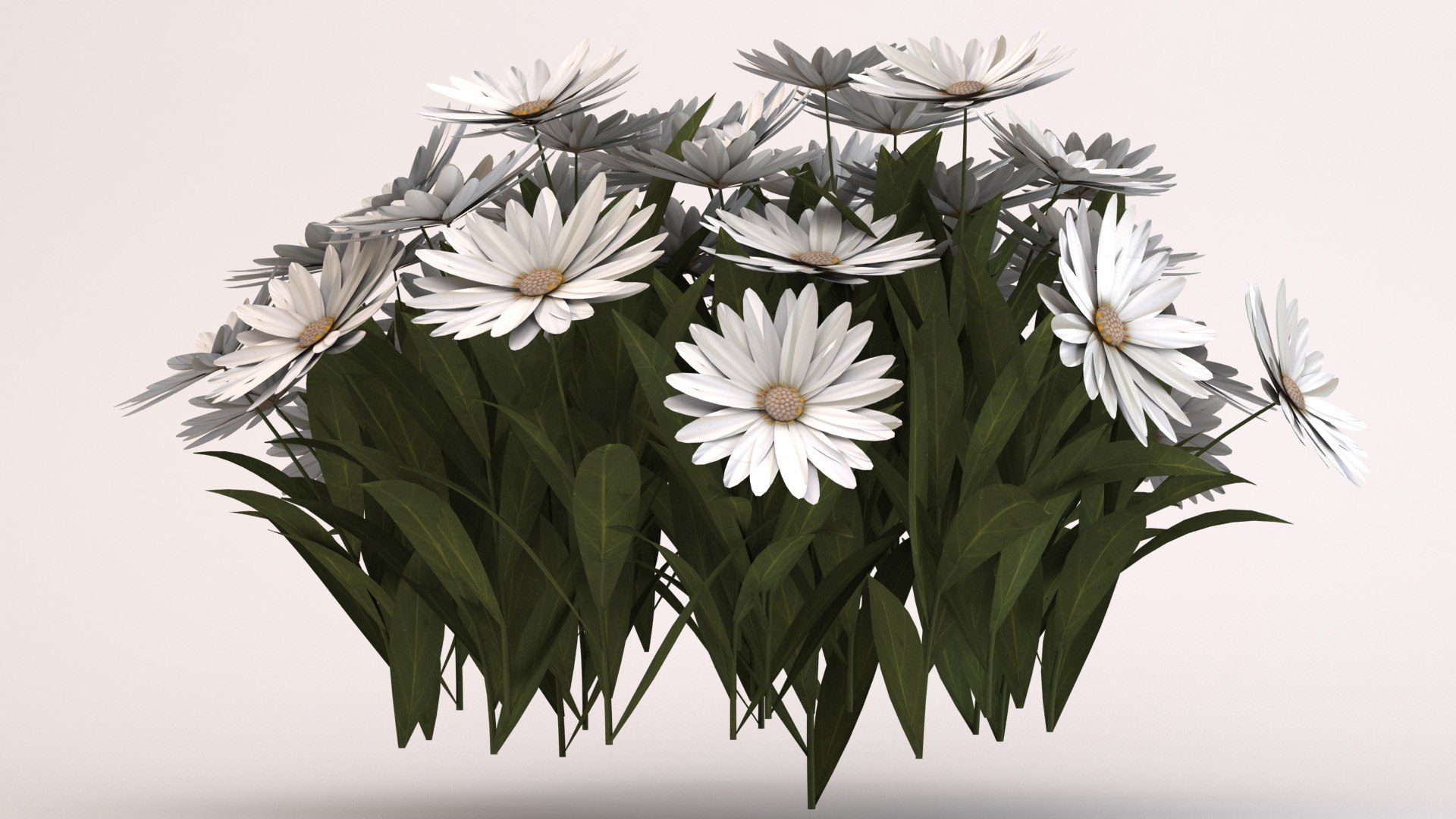 3D daisy flowers model - TurboSquid 1466378