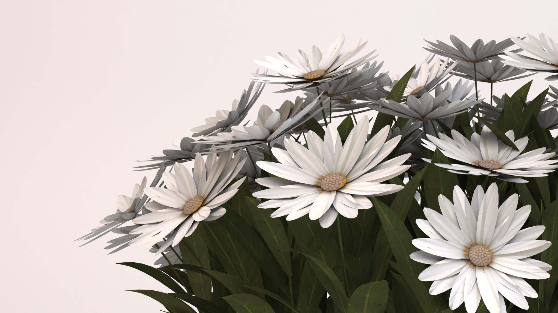 3D daisy flowers model - TurboSquid 1466378