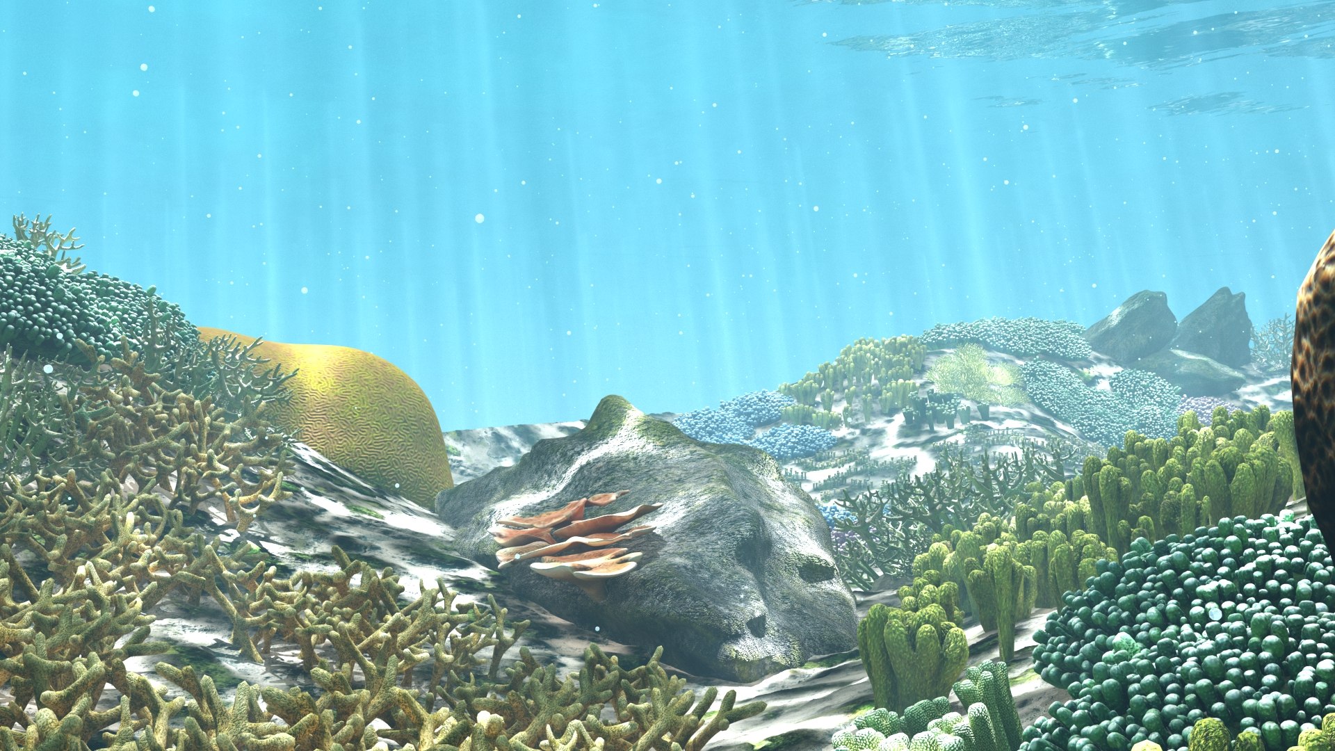 3D Cartoon Underwater Animation - TurboSquid 1408968