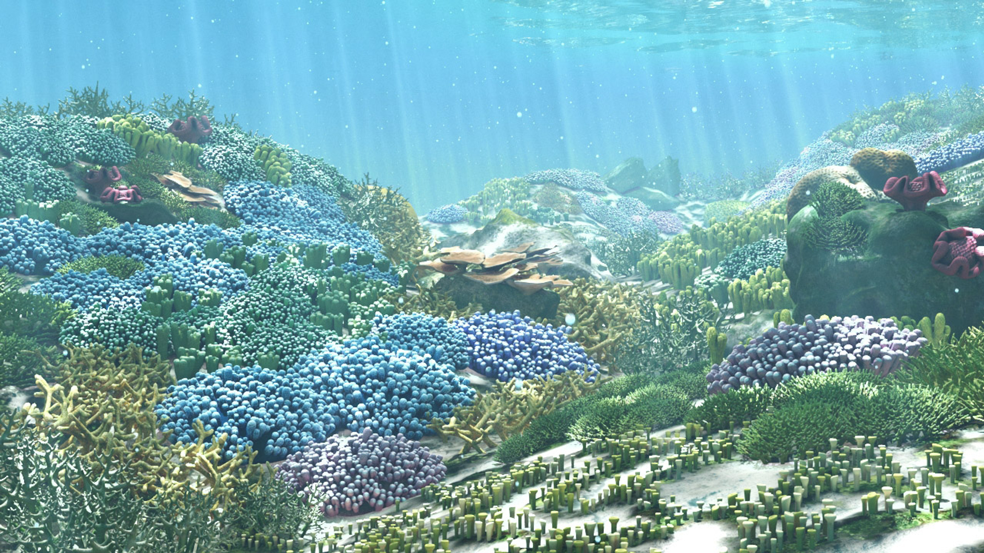 3d Coral Reef Backgrounds