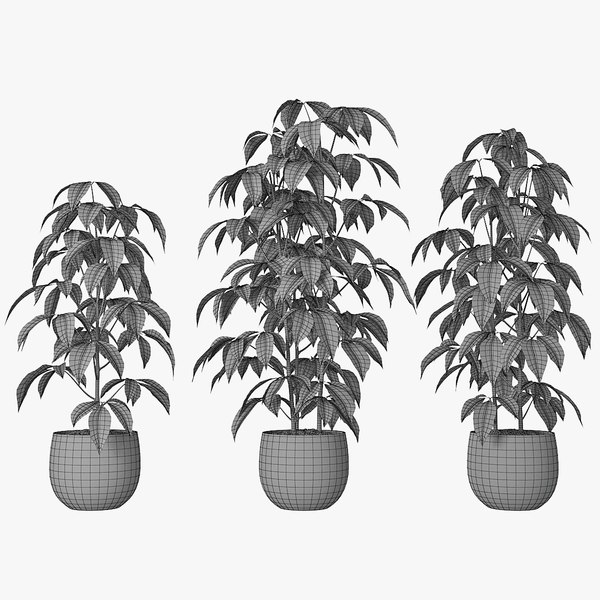 3D model pots - TurboSquid 1599102