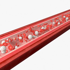 Blood Cell 3D Models for Download | TurboSquid