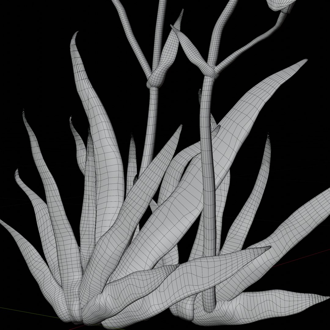 Purple Iris Flower Model - TurboSquid 2288064