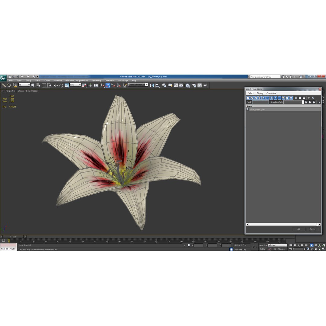 lily flower 3d c4d