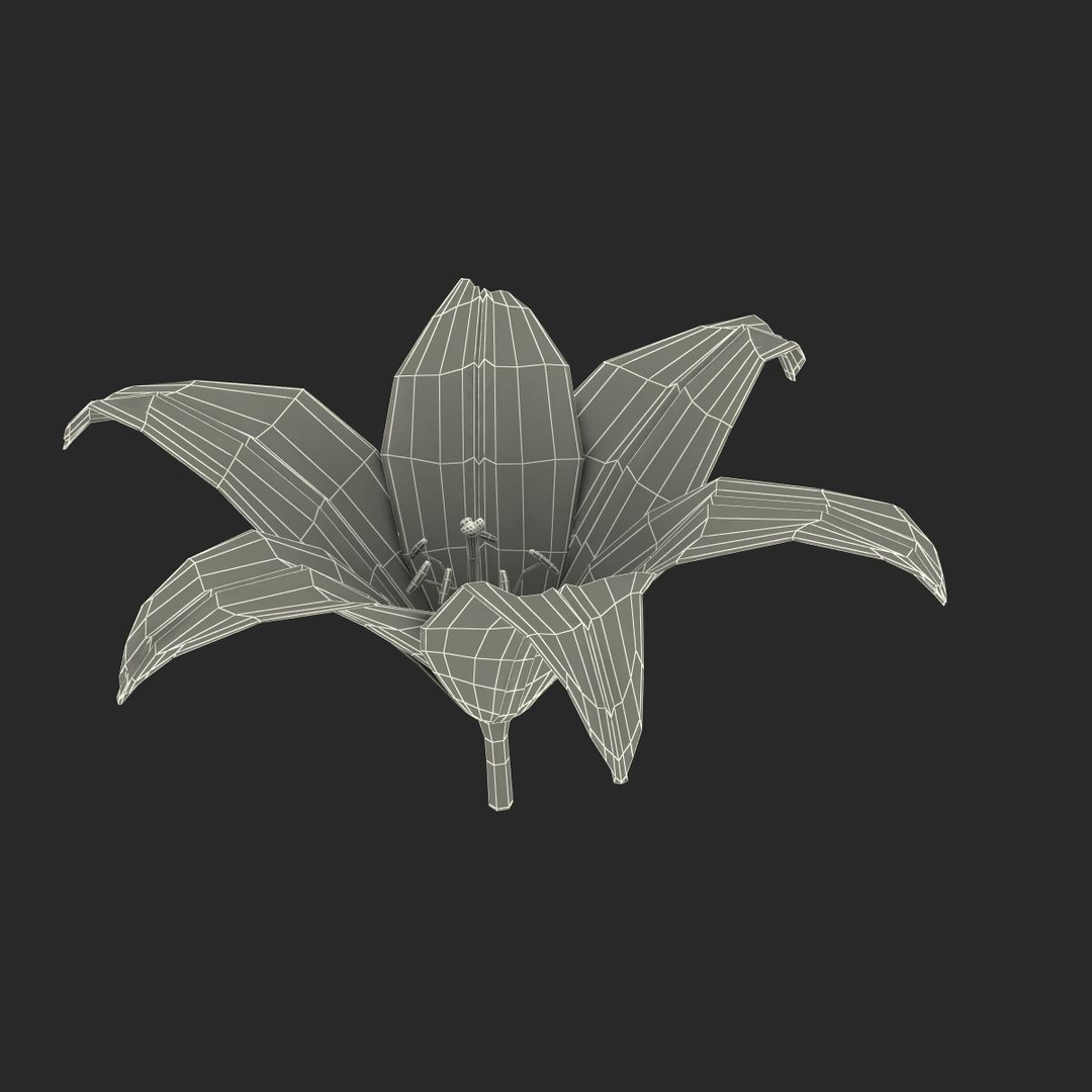 Lily Flower 3d C4d