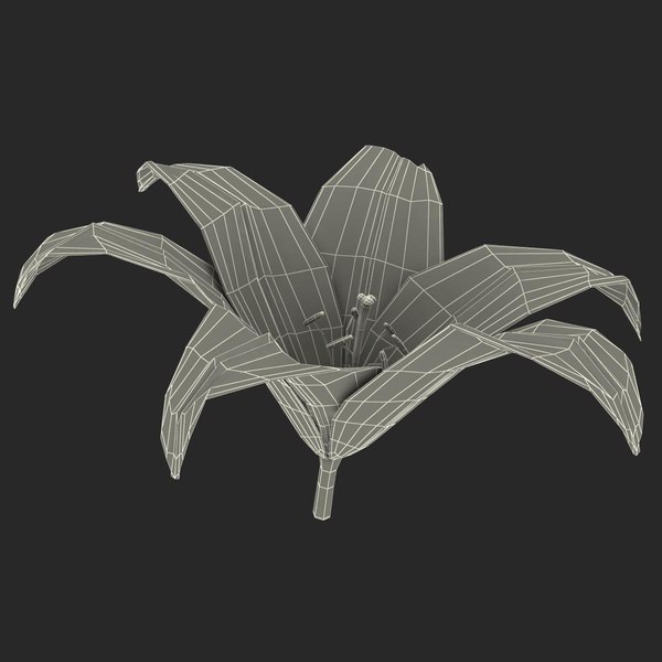 lily flower 3d c4d