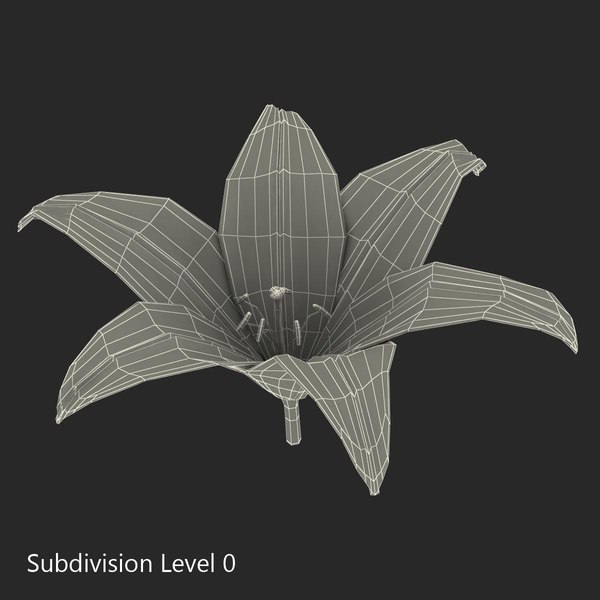 lily flower 3d c4d