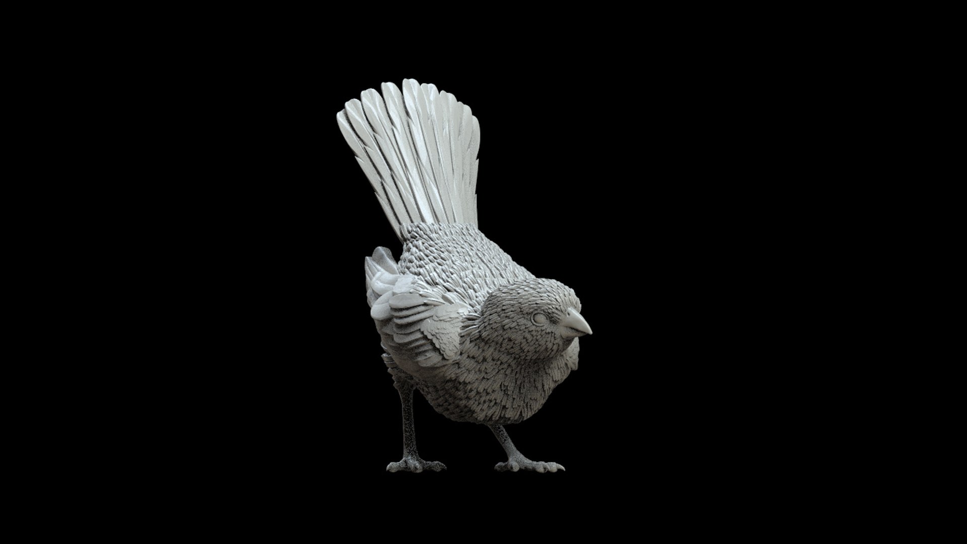 3D Bird Model - TurboSquid 2127931