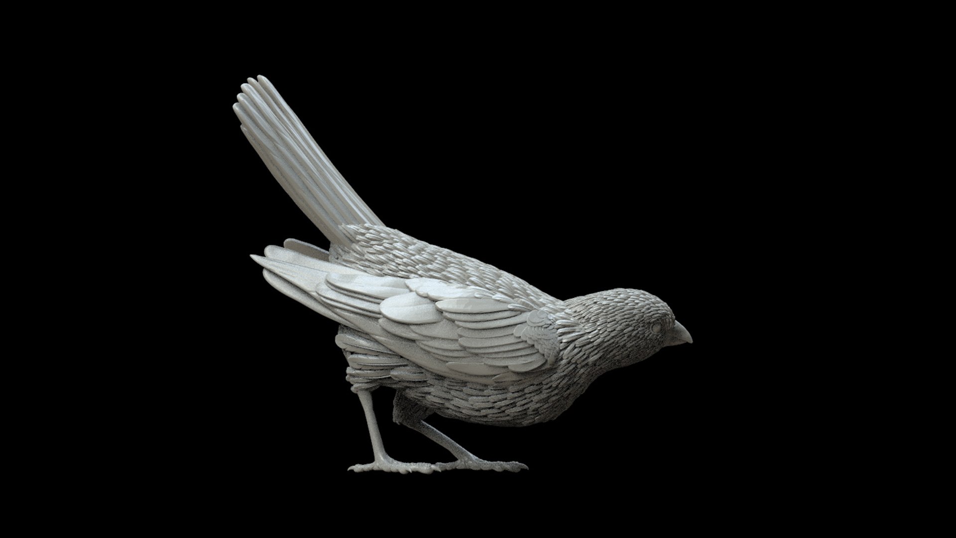 3D Bird Model - TurboSquid 2127931