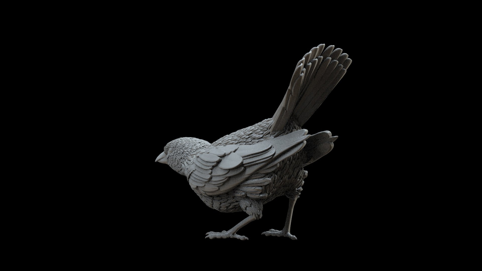 3D Bird Model - TurboSquid 2127931