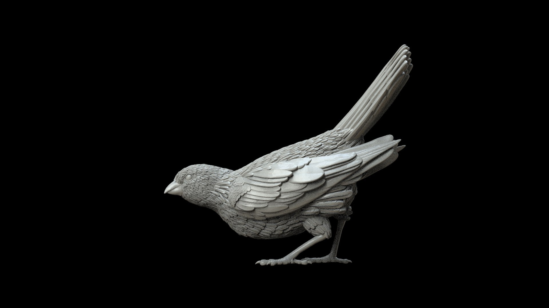 3D Bird Model - TurboSquid 2127931