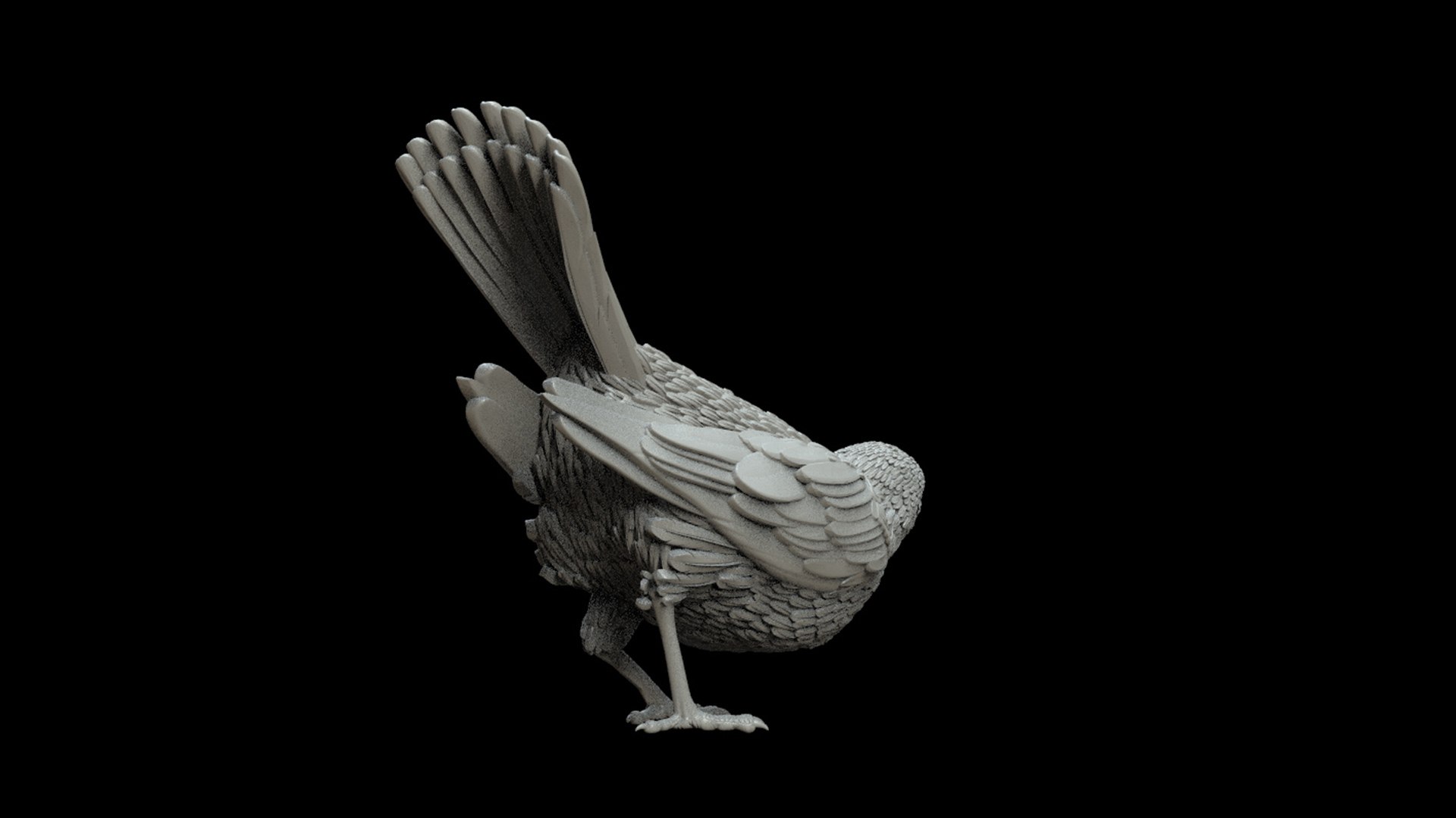 3D Bird Model - TurboSquid 2127931