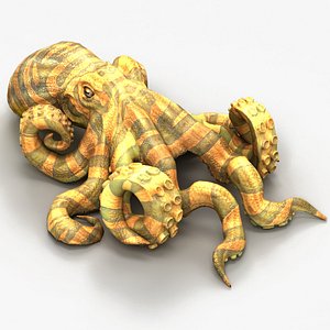 Octopus 3D Models for Download | TurboSquid