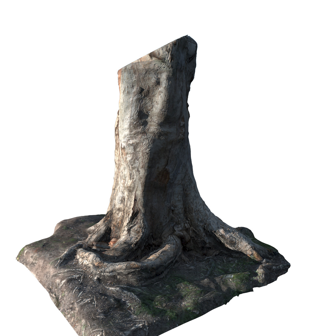 3d Paperbark Tree