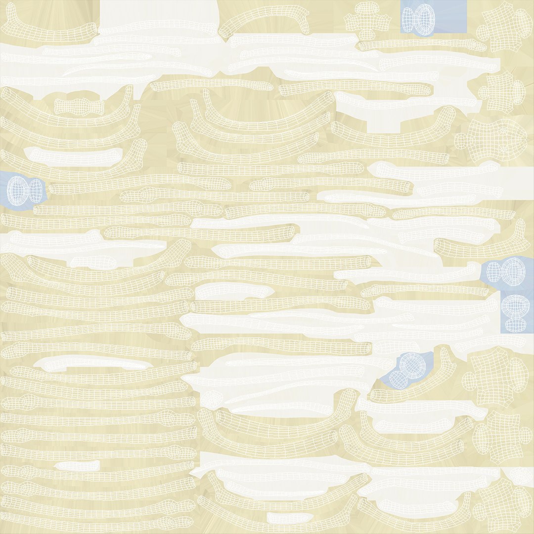 3D Anatomical Skeleton Of Dog Rib Cage - TurboSquid 2391424