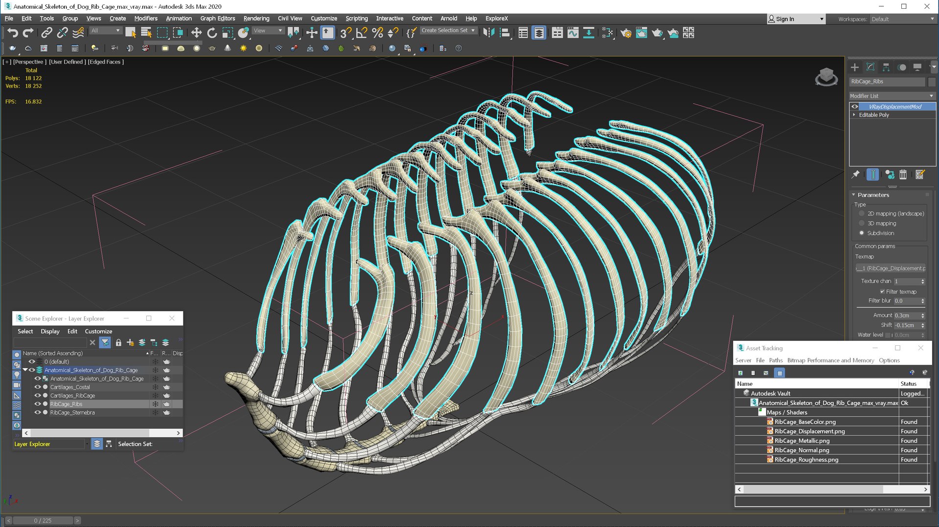 3D Anatomical Skeleton Of Dog Rib Cage - TurboSquid 2391424
