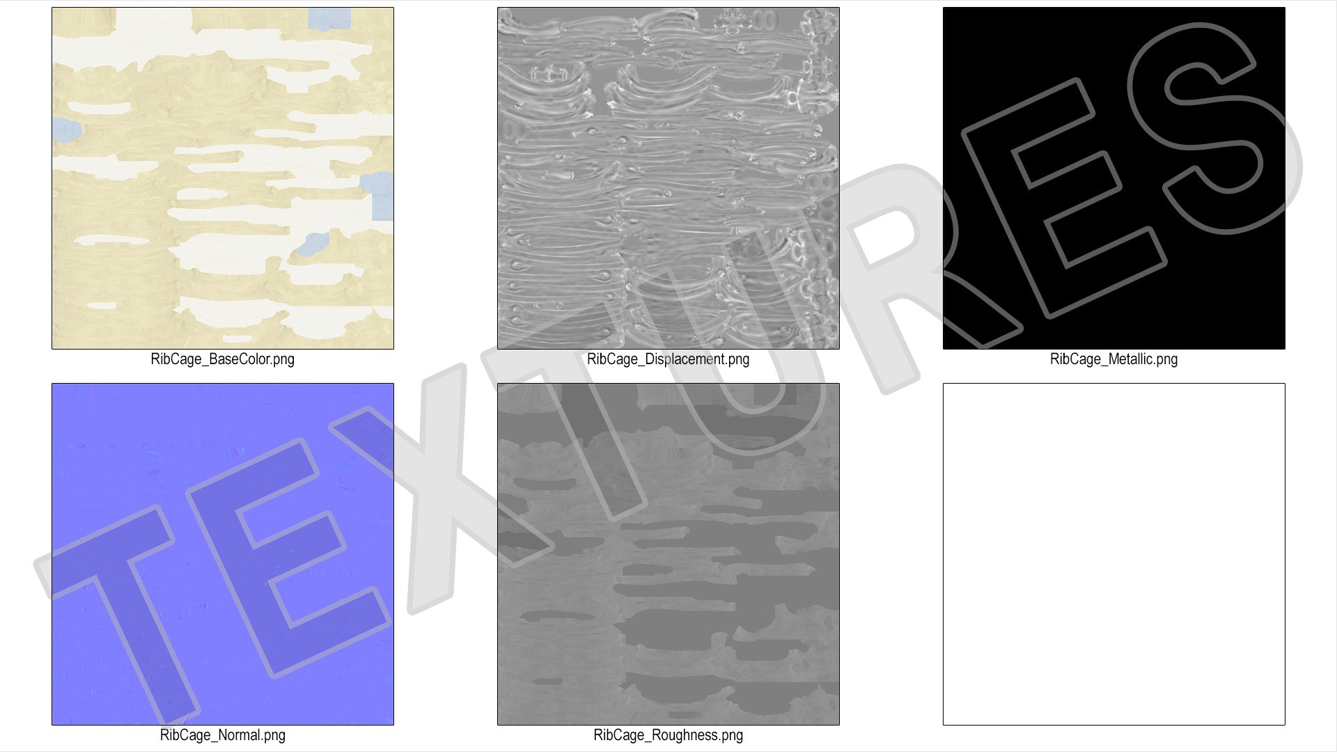 3D Anatomical Skeleton Of Dog Rib Cage - TurboSquid 2391424