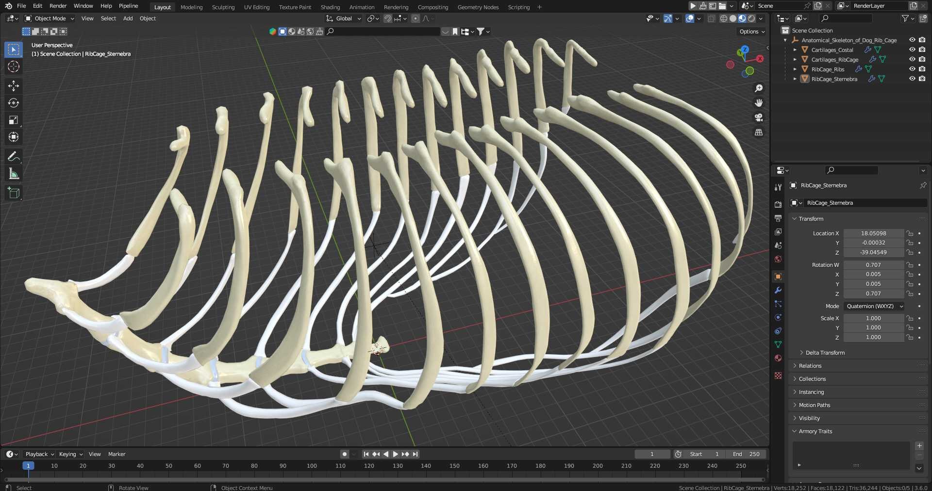 3D Anatomical Skeleton Of Dog Rib Cage - TurboSquid 2391424