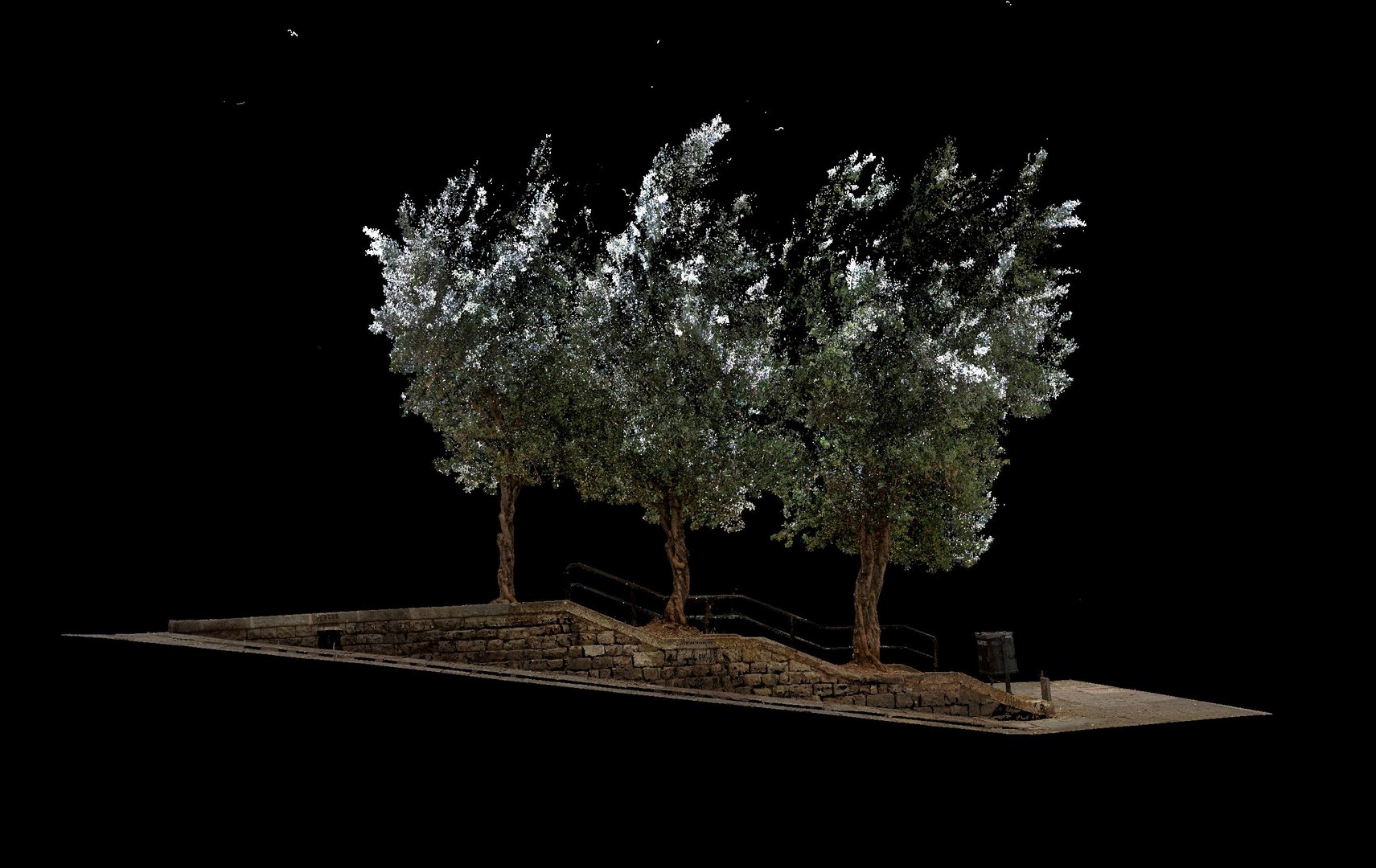 3D Laser Scanned Point Cloud Of Olive Trees 3D Model - TurboSquid 2257964