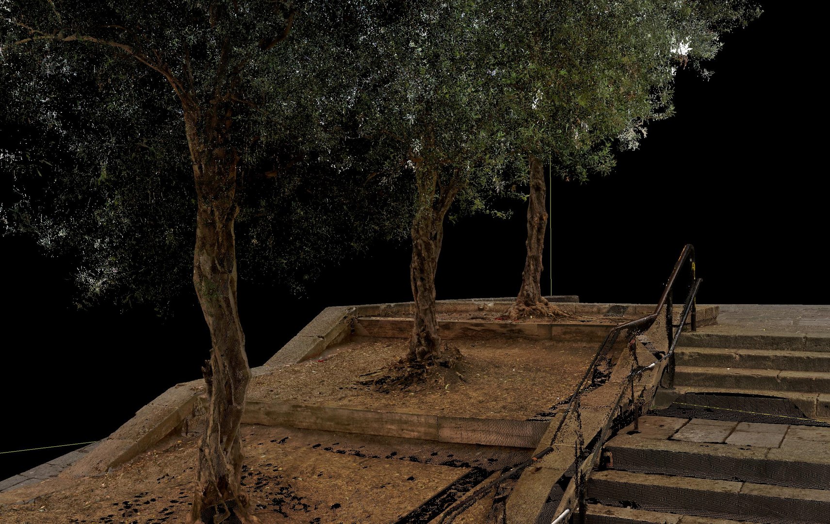 3D Laser Scanned Point Cloud Of Olive Trees 3D Model - TurboSquid 2257964